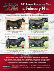 Jindra Angus - Cattle For Sale